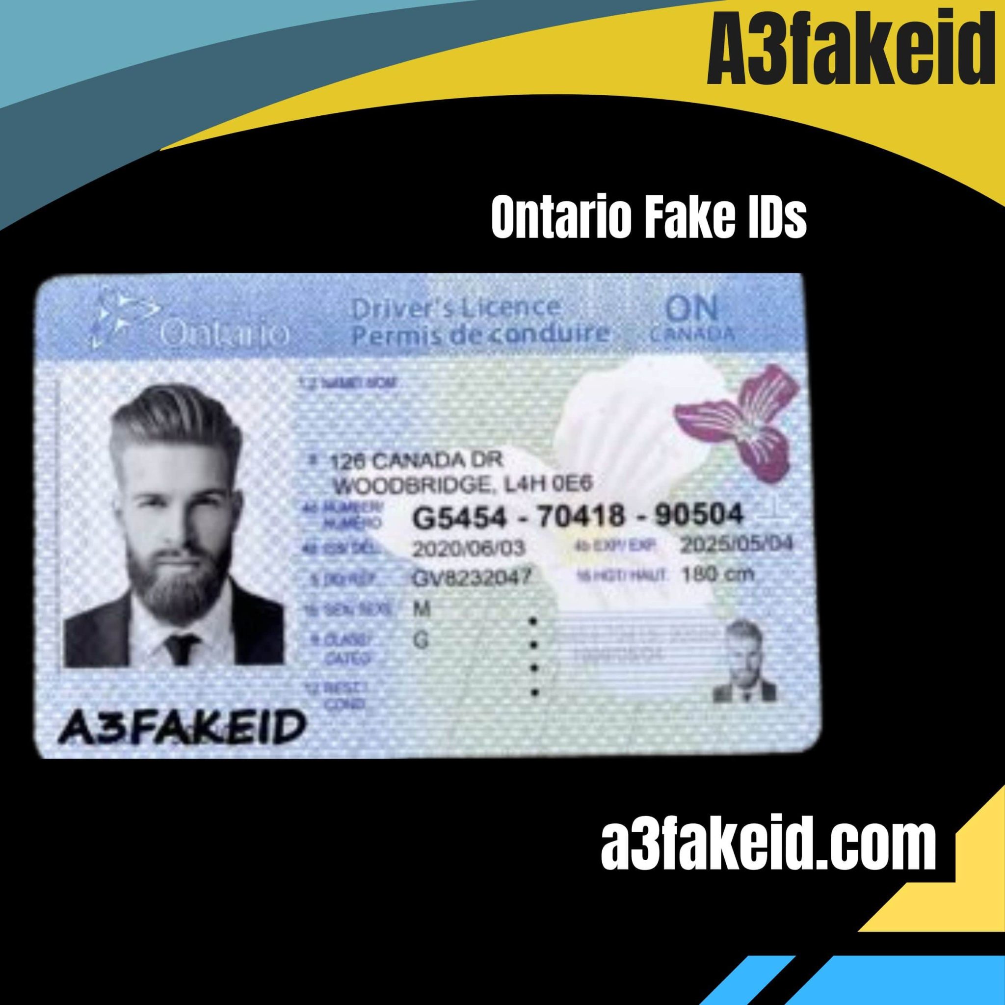 Ontario Fake IDs: Crafting Authenticity 2024's Digital Age